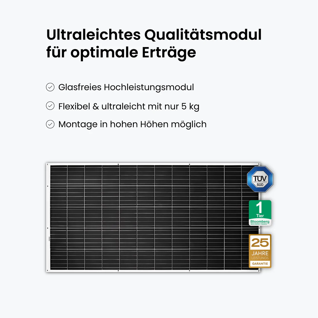 Ultraleichtmodul 310W